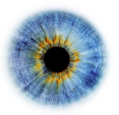 Comment restaurer sa lucidité – Terre de yoga